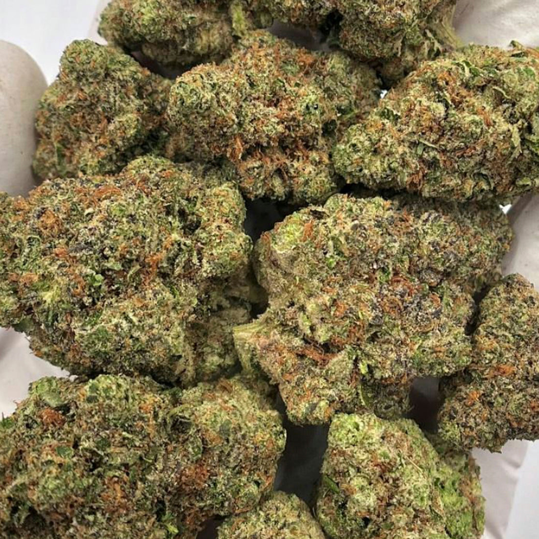 Shop Premium Organic Hemp Flower - Smokable CBD & THCa | Canvast