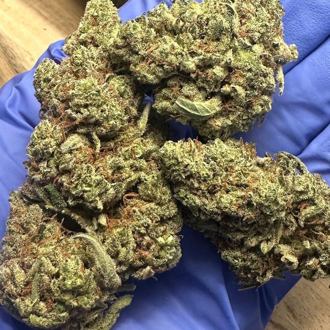 Shop Premium Organic Hemp Flower - Smokable CBD & THCa | Canvast